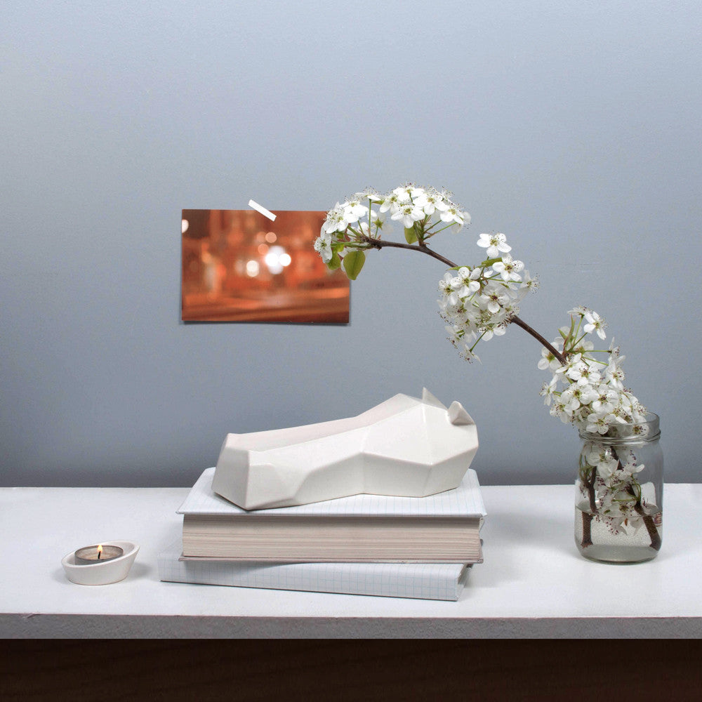 Project Safari | Hamilton the Hippo in White – bronsen